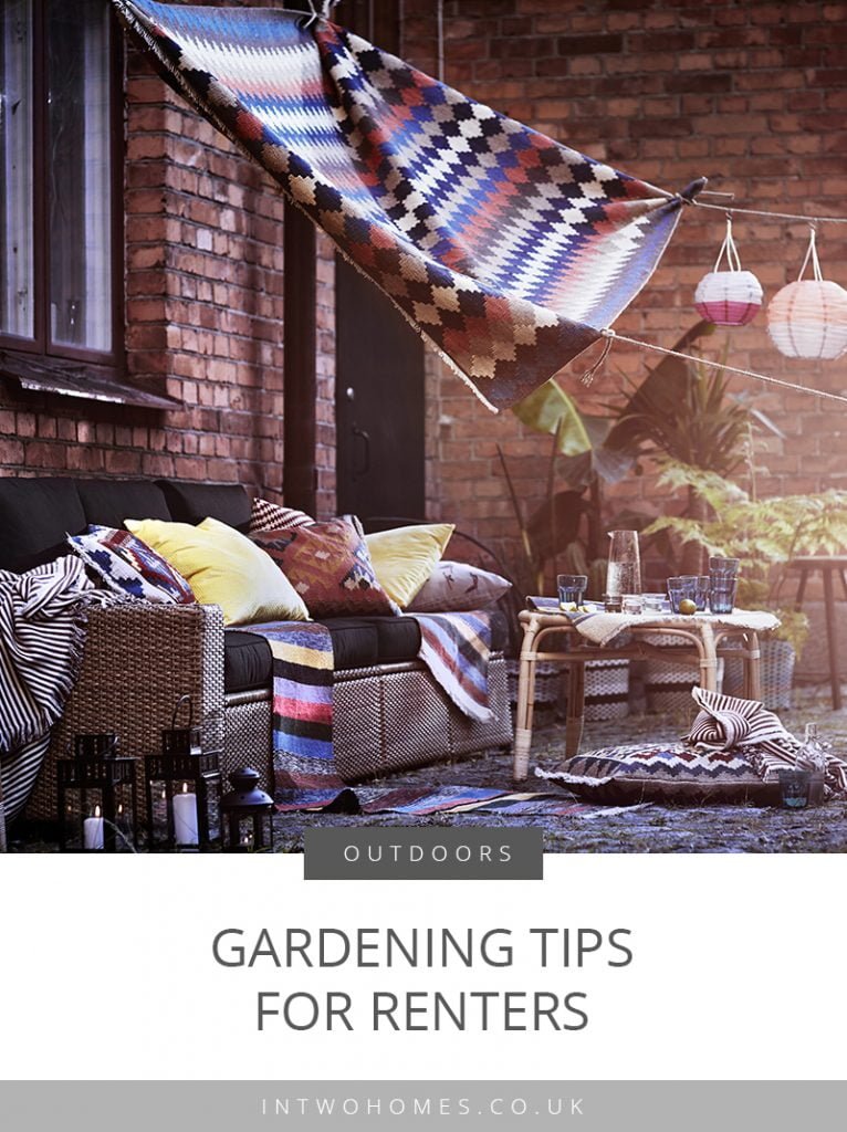6 Top Gardening Tips for Renters - Garden Ideas | In Two Homes