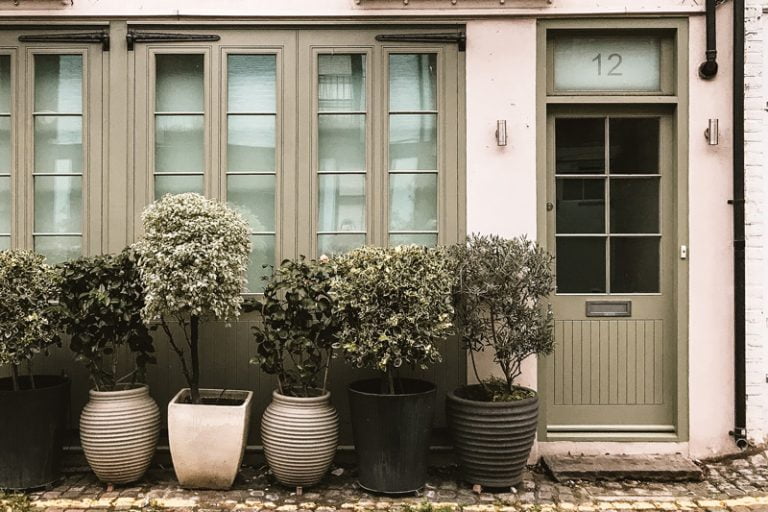 6 Top Gardening Tips for Renters - Garden Ideas | In Two Homes
