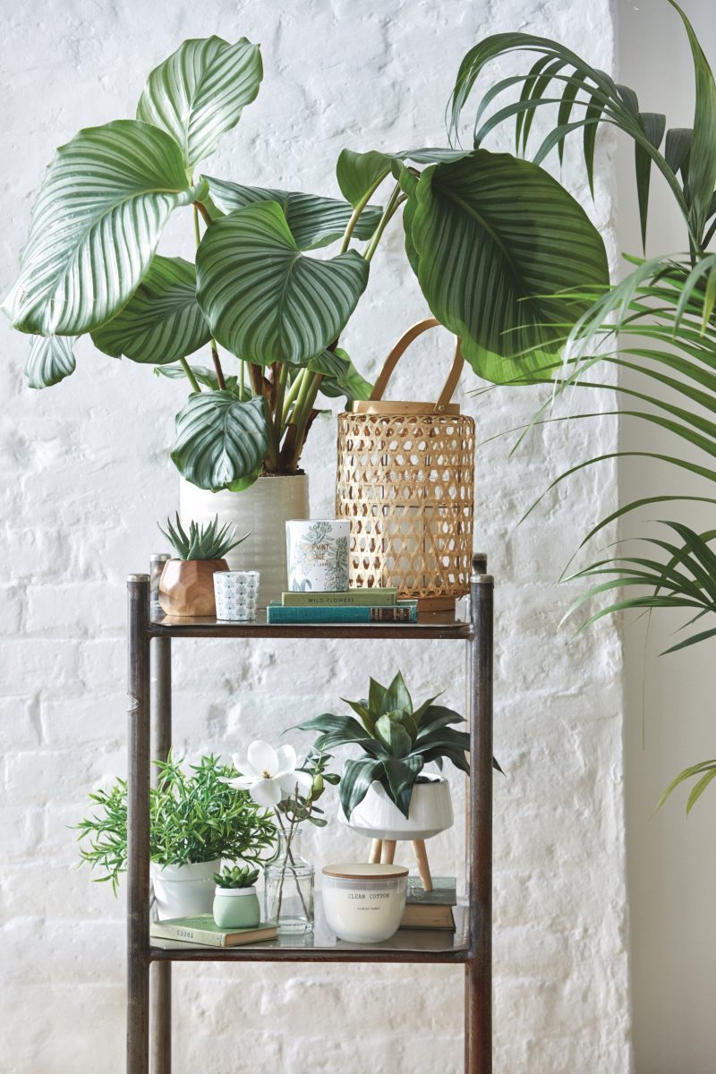 Must-Have Spring/Summer 2019 Homeware and Garden Furniture