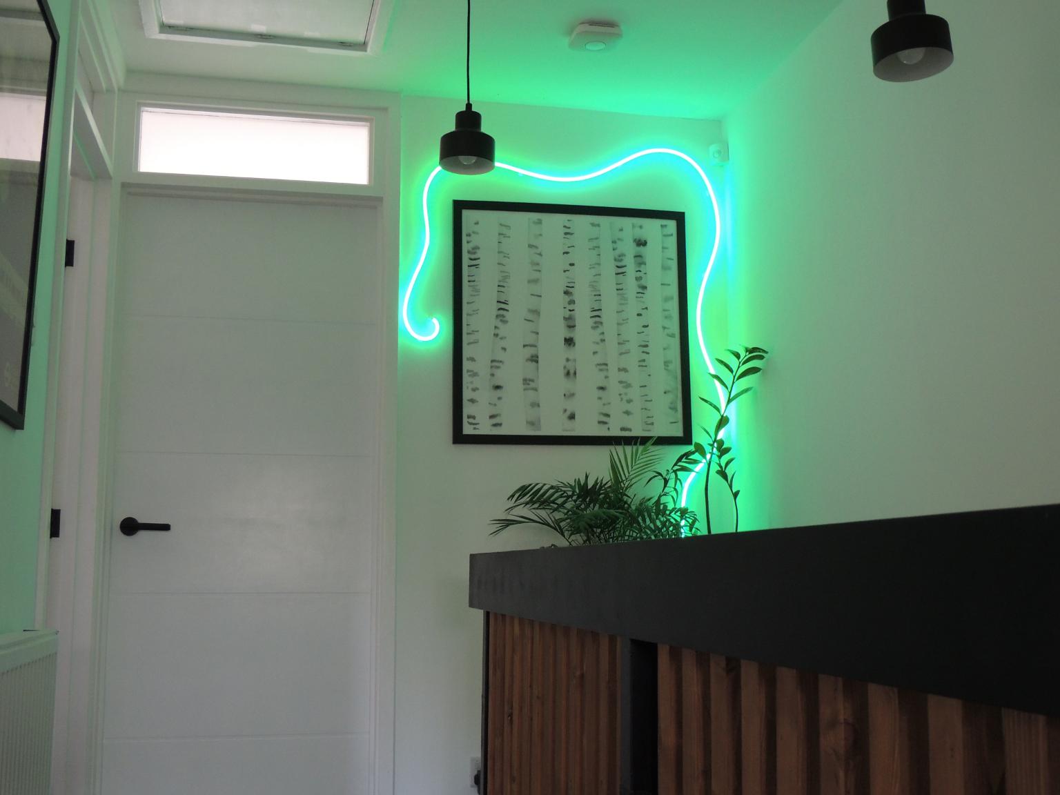 Lepro AI Smart LED Neon Rope Light Review | In Two Homes